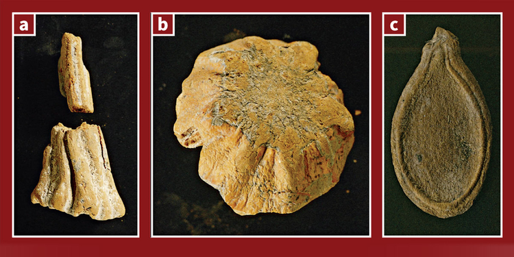Holoceno Medio | Arqueología Mexicana Holoceno Medio | Arqueología Mexicana