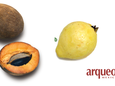 Mitla, Oaxaca | Arqueología Mexicana