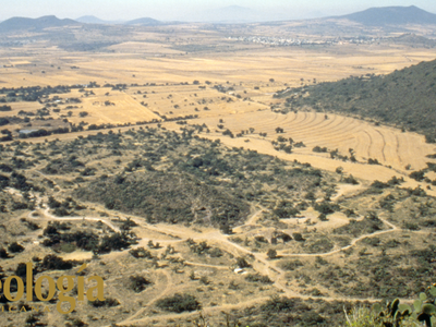 El pueblo ñu savi. Los mixtecos | Arqueología Mexicana